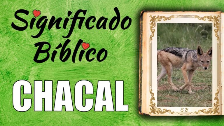 Cómo lobos rapaces en la Biblia: Significado y enseñanzas profundas